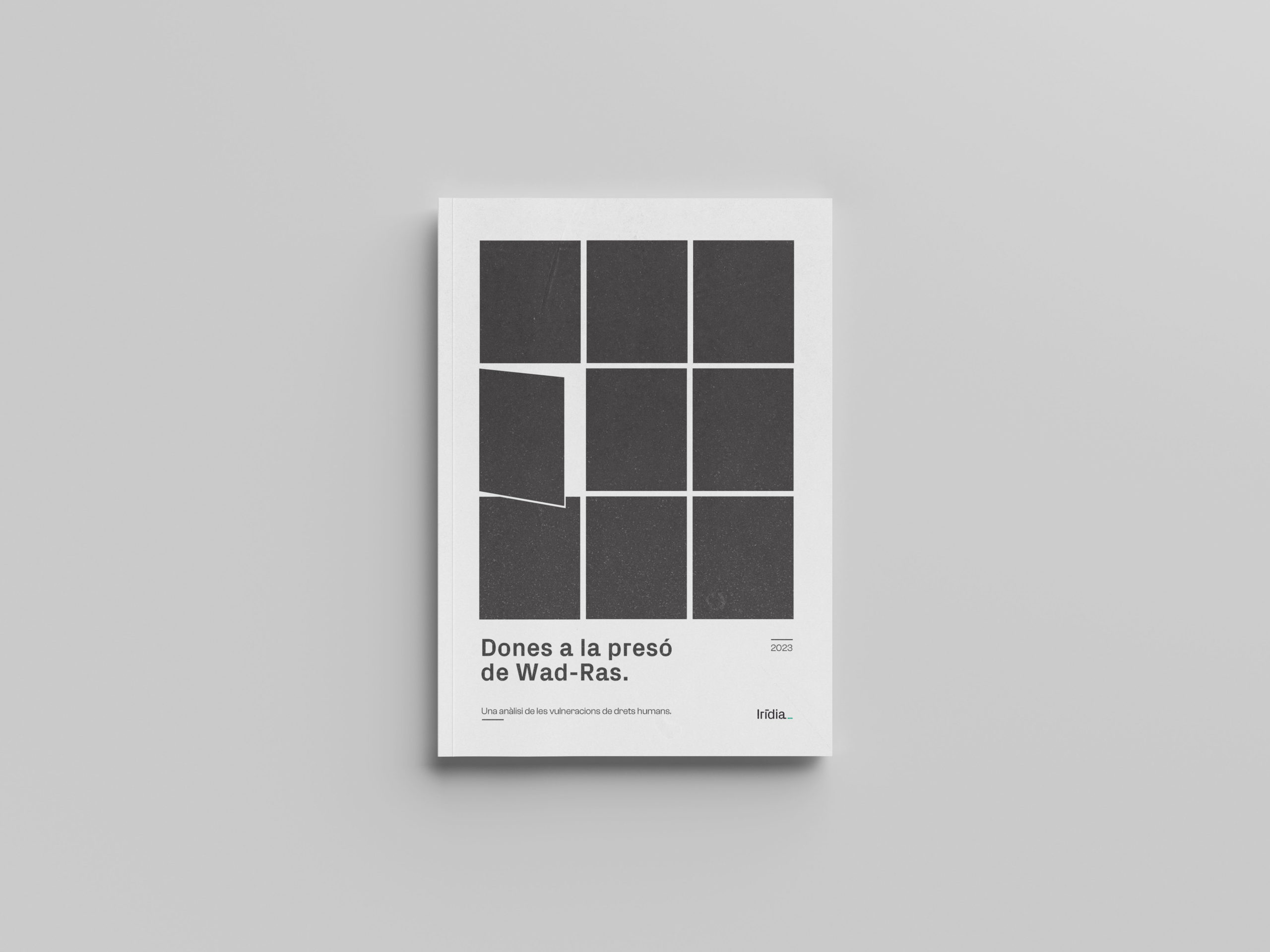 Dones a la presó de Wad-Ras. Una anàlisi de les vulneracions de drets ...